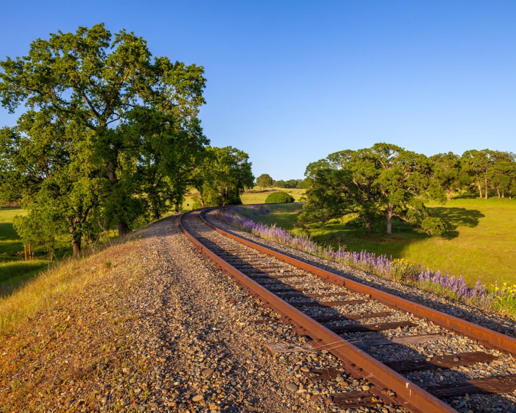 City of Placerville, California - Home