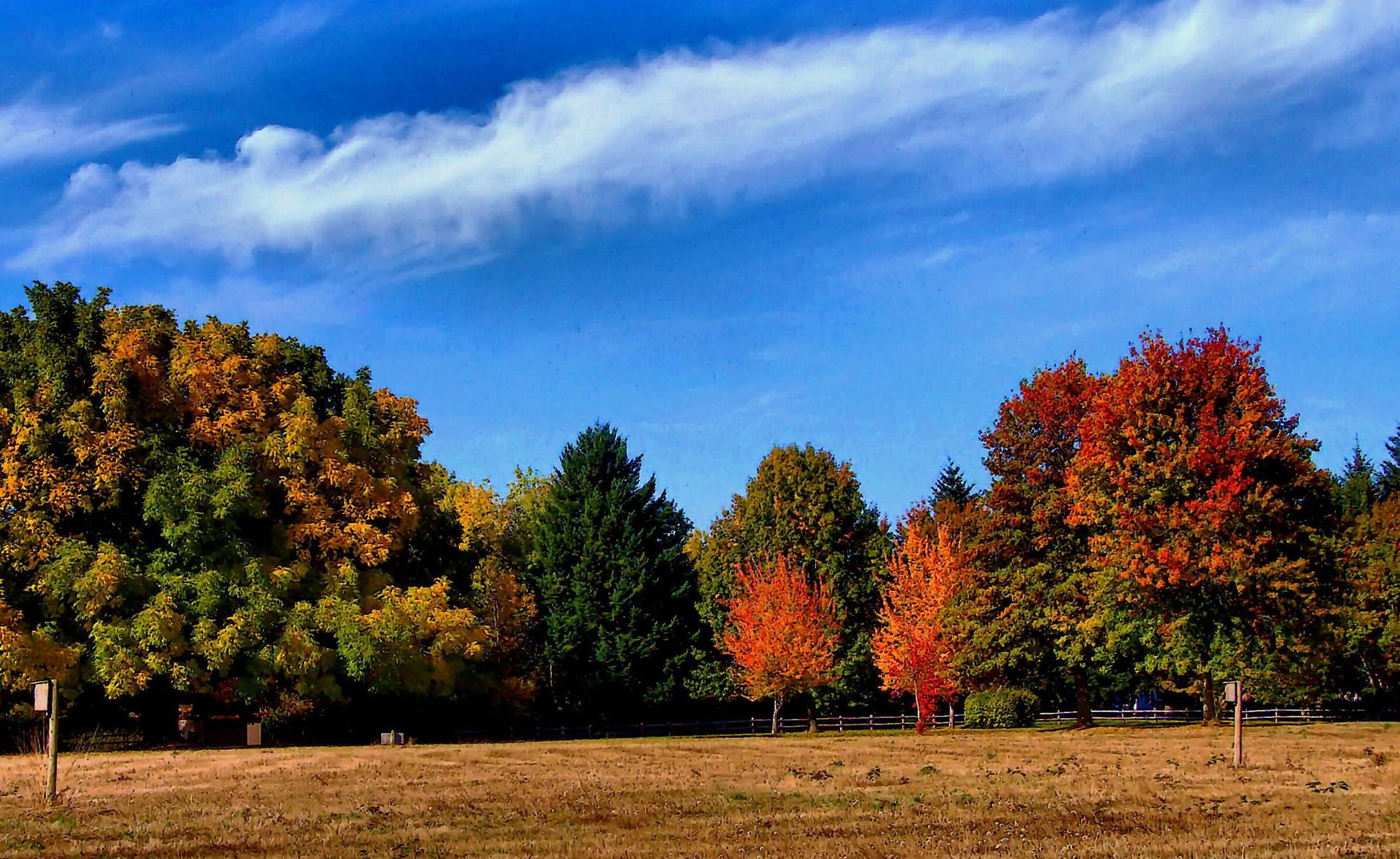 City of Keizer, Oregon - Home Page